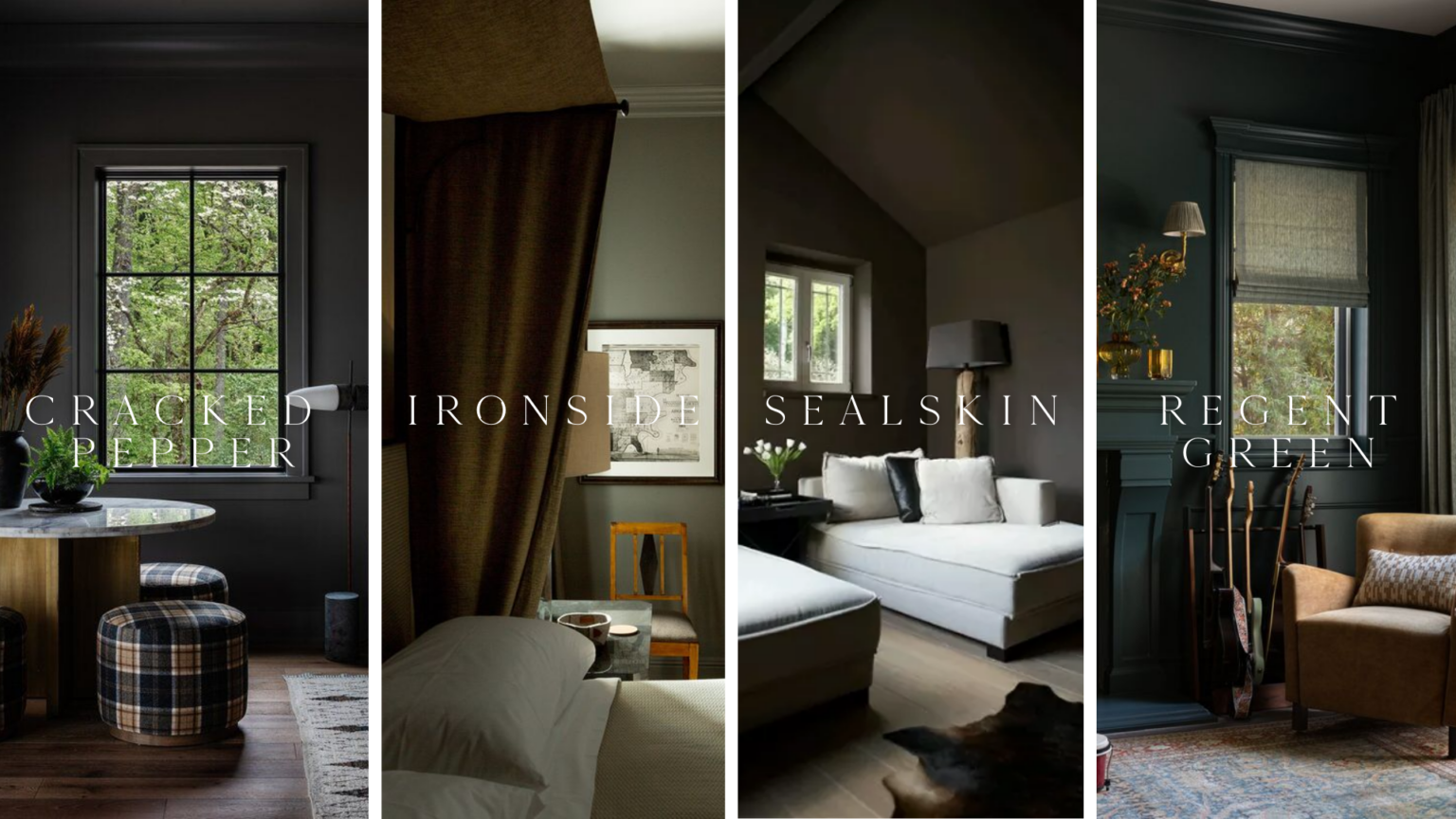 2024 Paint Trends - Ashley Childers